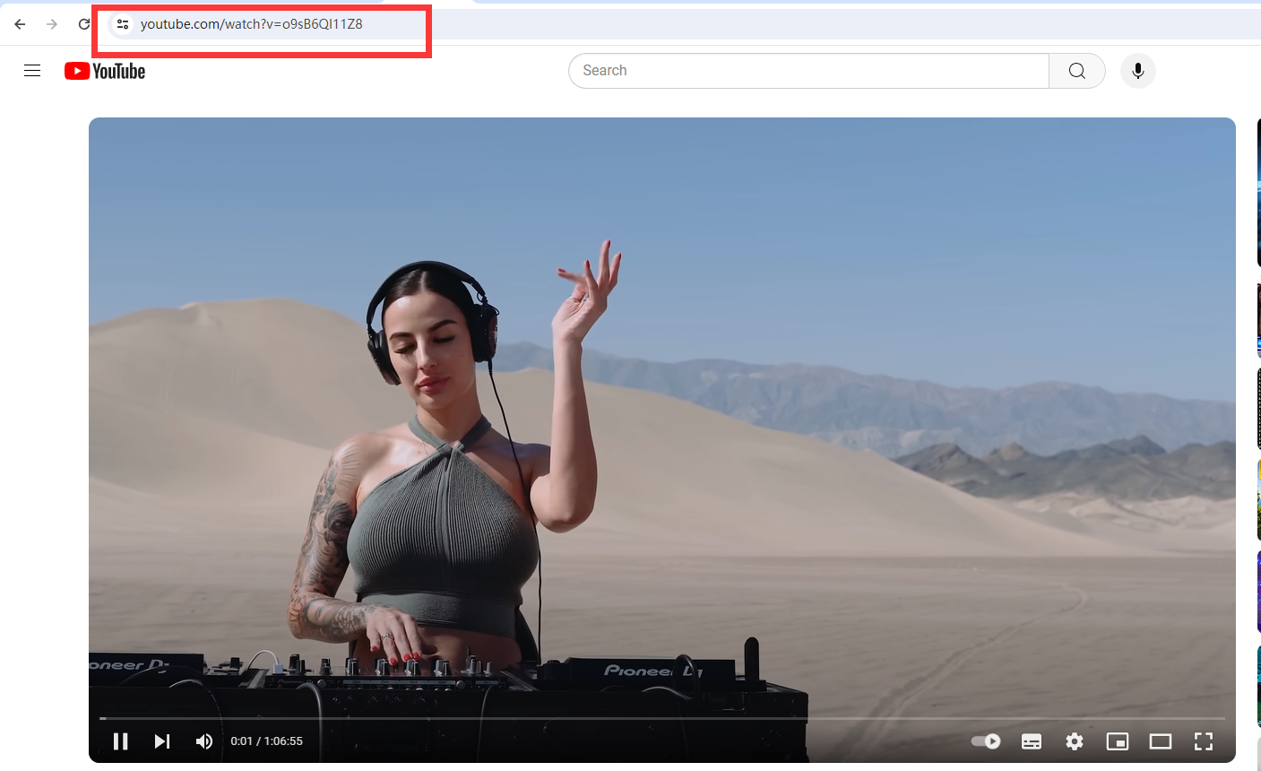 How to Download Video from YouTube to My Macbook for Free?